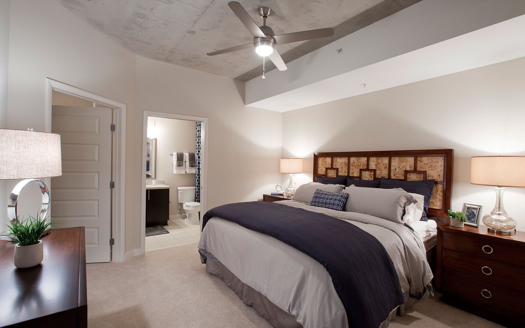 Features & Amenities