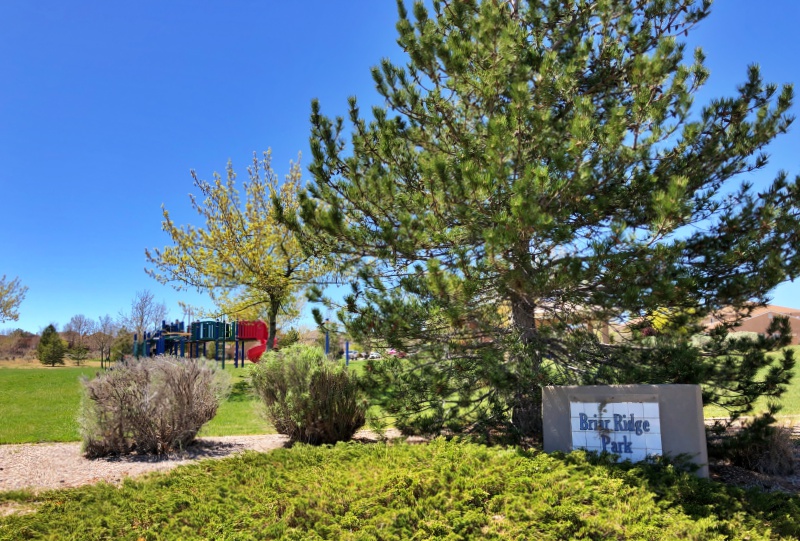 Ventana Ranch Parks & Greenspaces Spotlight: Briar Patch Park