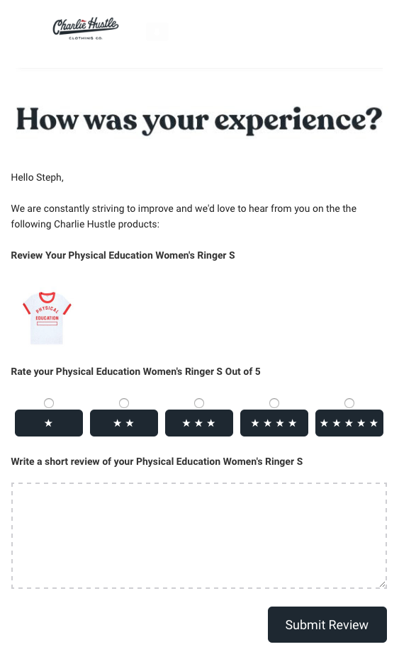 5 Awesome Review Re Email Examples A FREE Template REVIEWS 