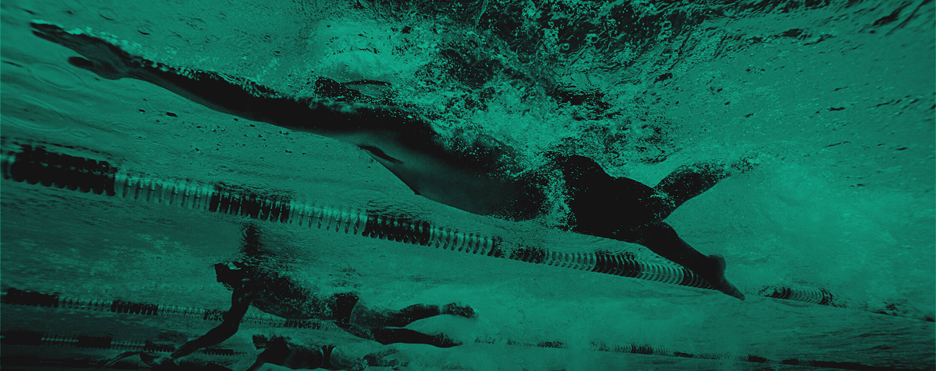 Melbourne Swimming Club - News