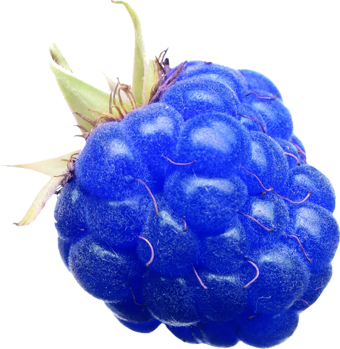 МaxDynamics - НАЙ-ДОБРИЯТ ИЗБОР ЗА АТЛЕТИ