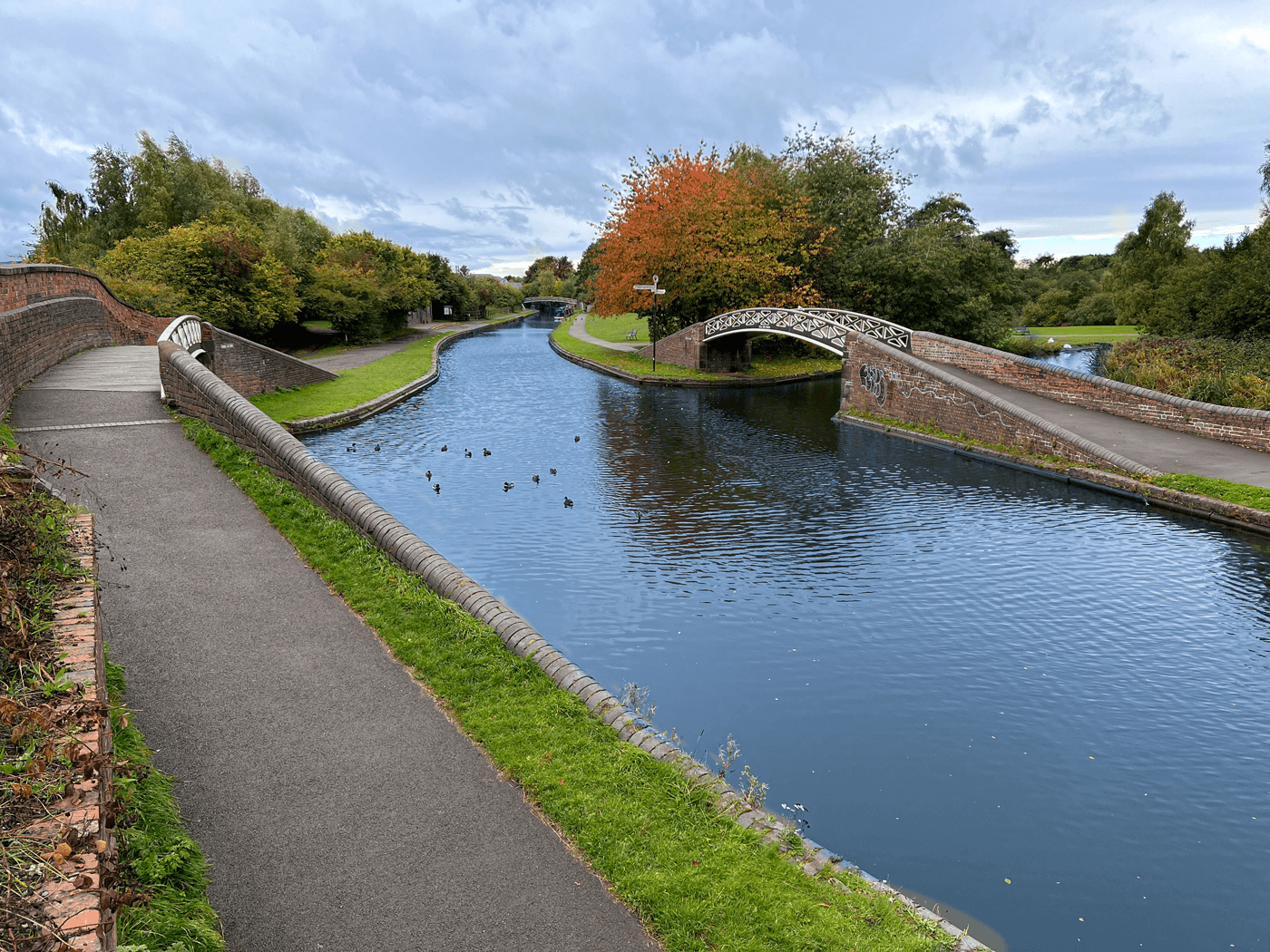 Land & Water | Environmental Management | Pegasus