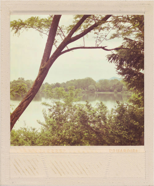 EXPERIENCE THE GREEN VALLEY GLAMPING