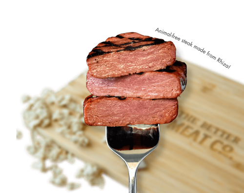 The Better Meat Co. - Mycoprotein Ingredients for Better Meats