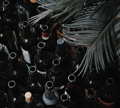 Shippr | Livraisons le jour même pour les professionnels