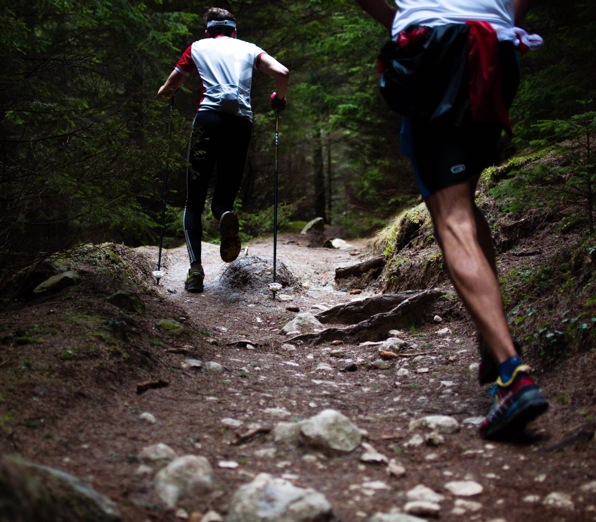 pliability - mobility and recovery videos for better flexibility.