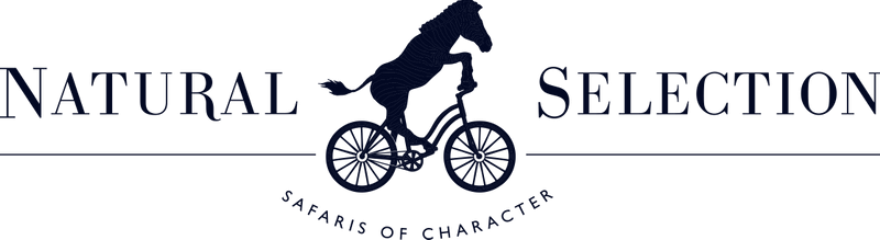 Nelson Travel | Safari, Ski & Sail Holidays