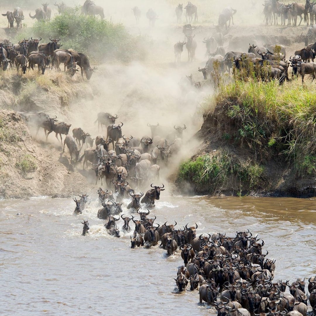 Nelson Travel | Safari, Ski & Sail Holidays