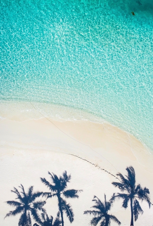 Nelson Travel | Timeless Holiday Experiences
