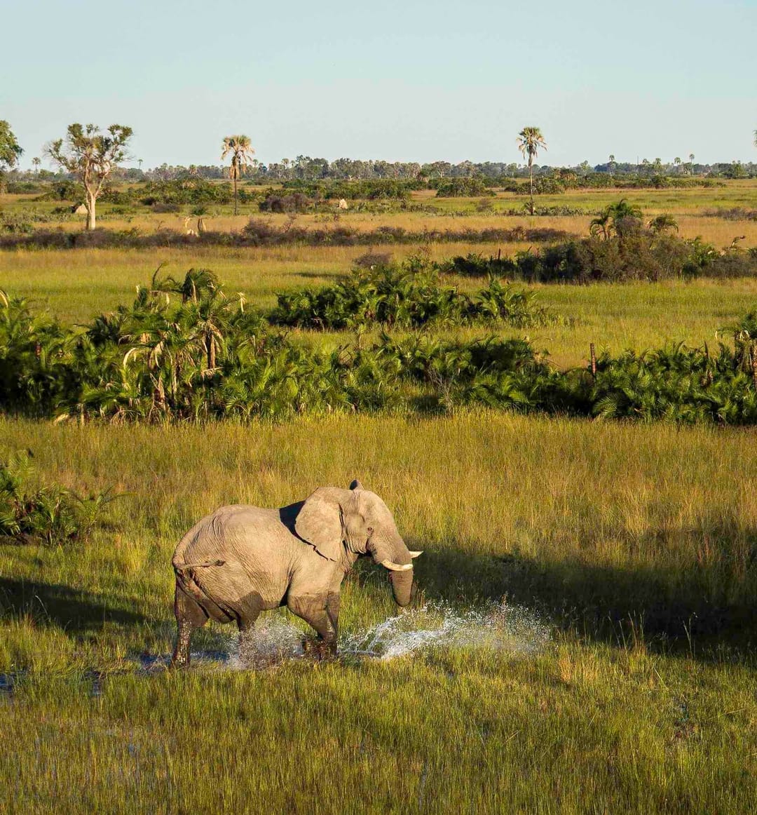 Nelson Travel | Timeless Holiday Experiences