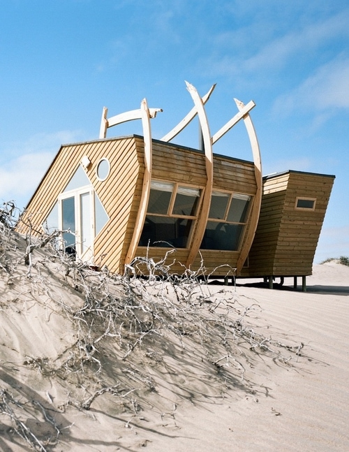 Nelson Travel | Safari, Ski & Sail Holidays