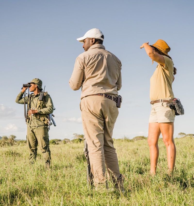 Nelson Travel | Safari, Ski & Sail Holidays