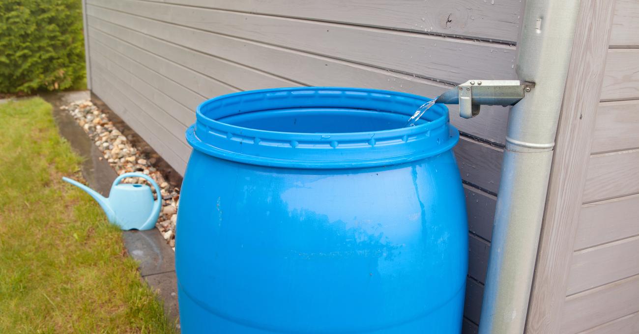 Rainwater Harvesting And Collection: How To Get Started