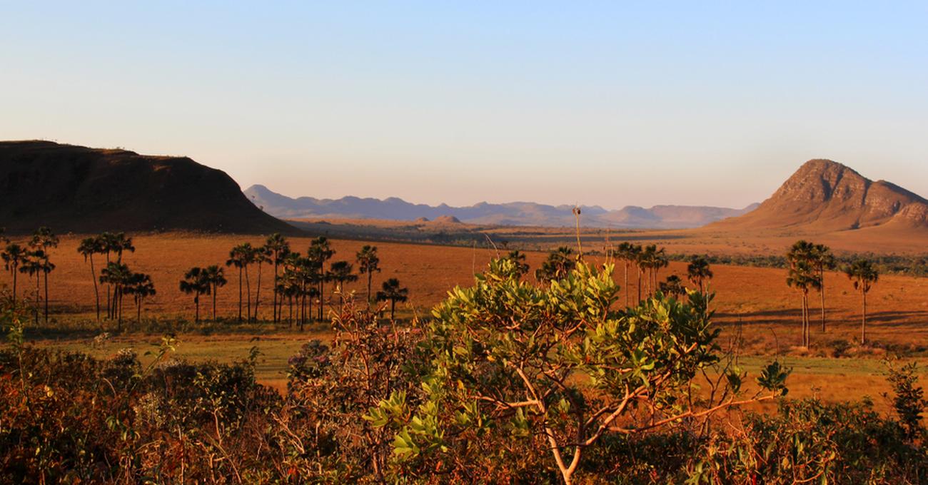 What Is A Biome? | Build a Stash