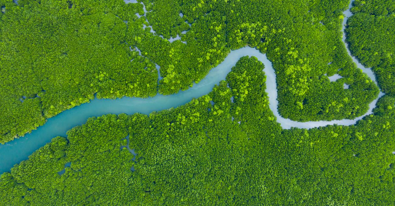 Types of Natural Ecosystems | Build a Stash