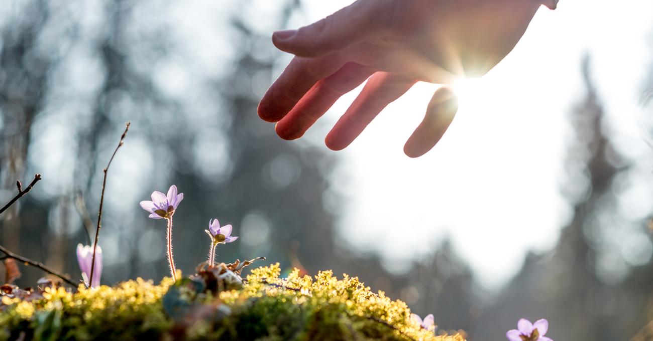 How To Protect & Conserve Land | Build a Stash