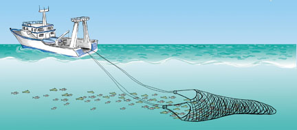 How Seafood is Harvested - J.J. McDonnell & Co., Inc.