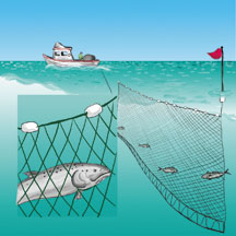 How Seafood is Harvested - J.J. McDonnell & Co., Inc.