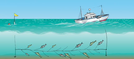 How Seafood is Harvested - J.J. McDonnell & Co., Inc.