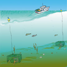 How Seafood is Harvested - J.J. McDonnell & Co., Inc.
