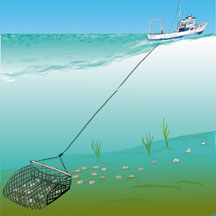How Seafood is Harvested - J.J. McDonnell & Co., Inc.