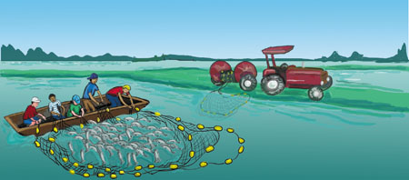 How Seafood is Harvested - J.J. McDonnell & Co., Inc.