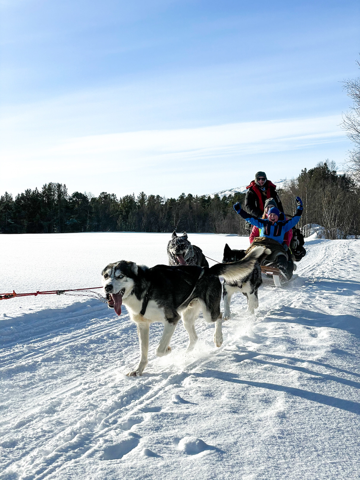 Sorrisniva - Husky Experiences