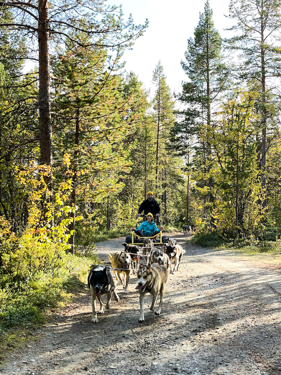 Sorrisniva - Husky Carting