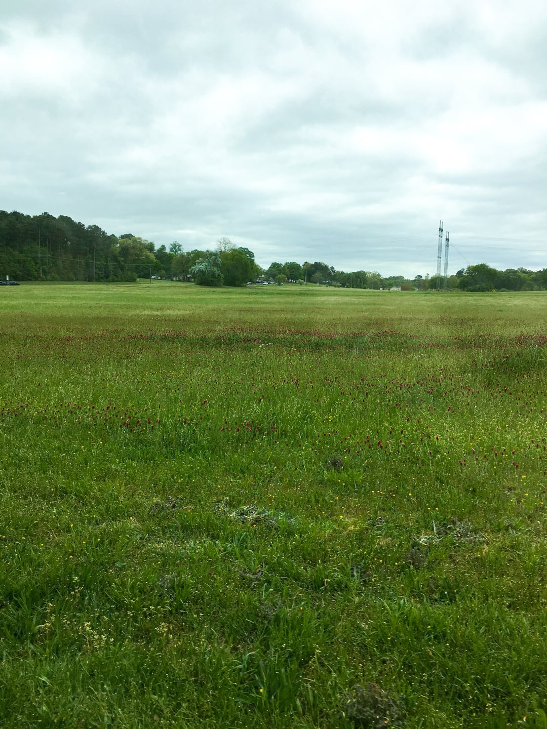 Patterson Farms Landing Page