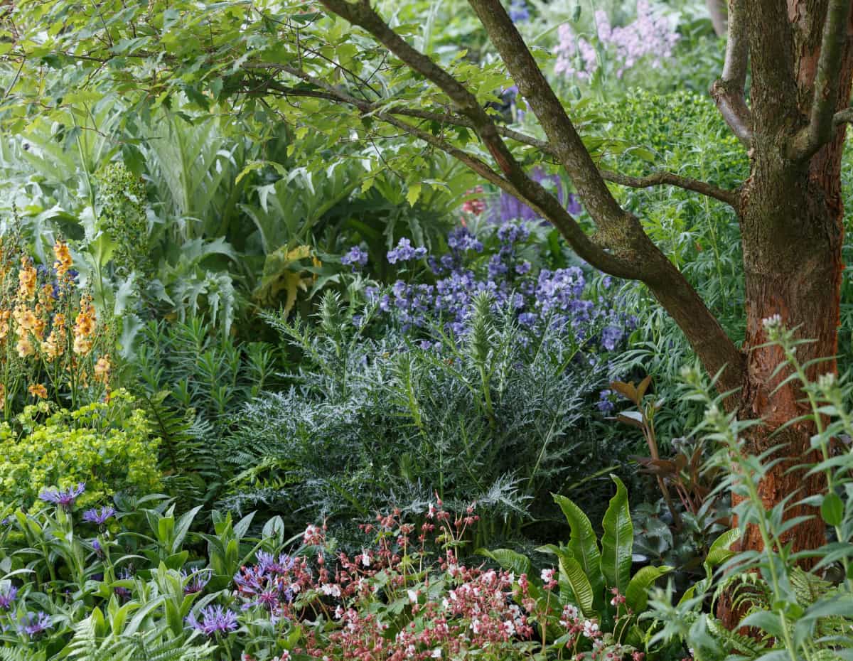 Project Giving Back announced | Journal | Project Giving Back