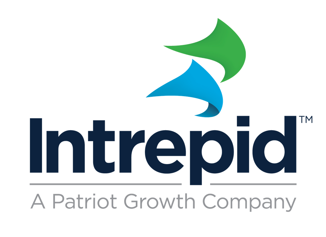 Intrepid: Our Solutions