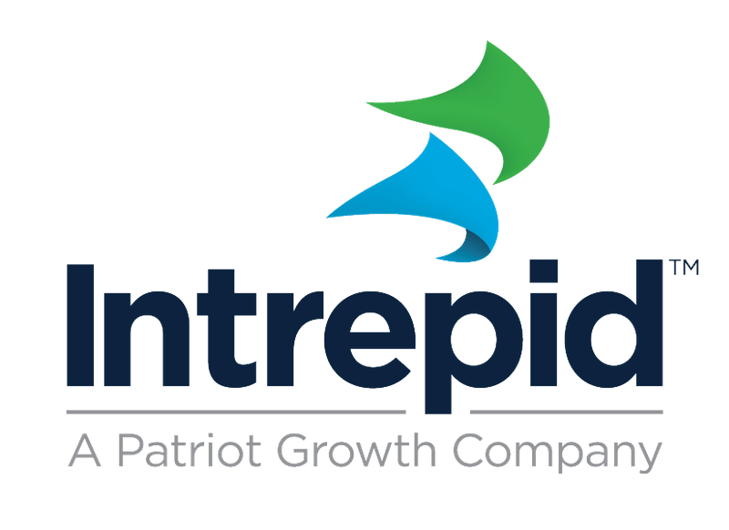 Intrepid: Our Solutions