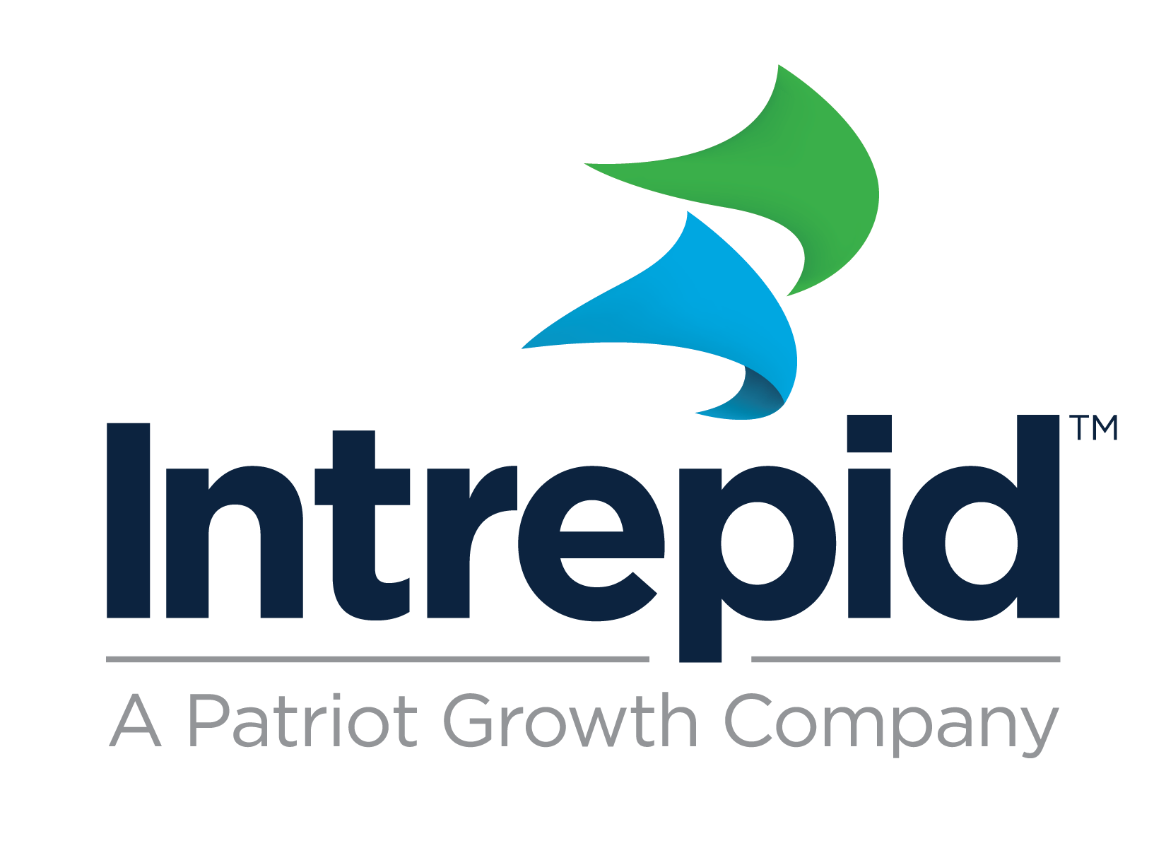 Intrepid: Our Solutions