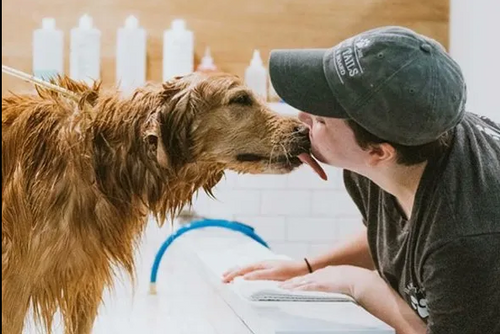 Grooming | Happy Tails Groom & Board