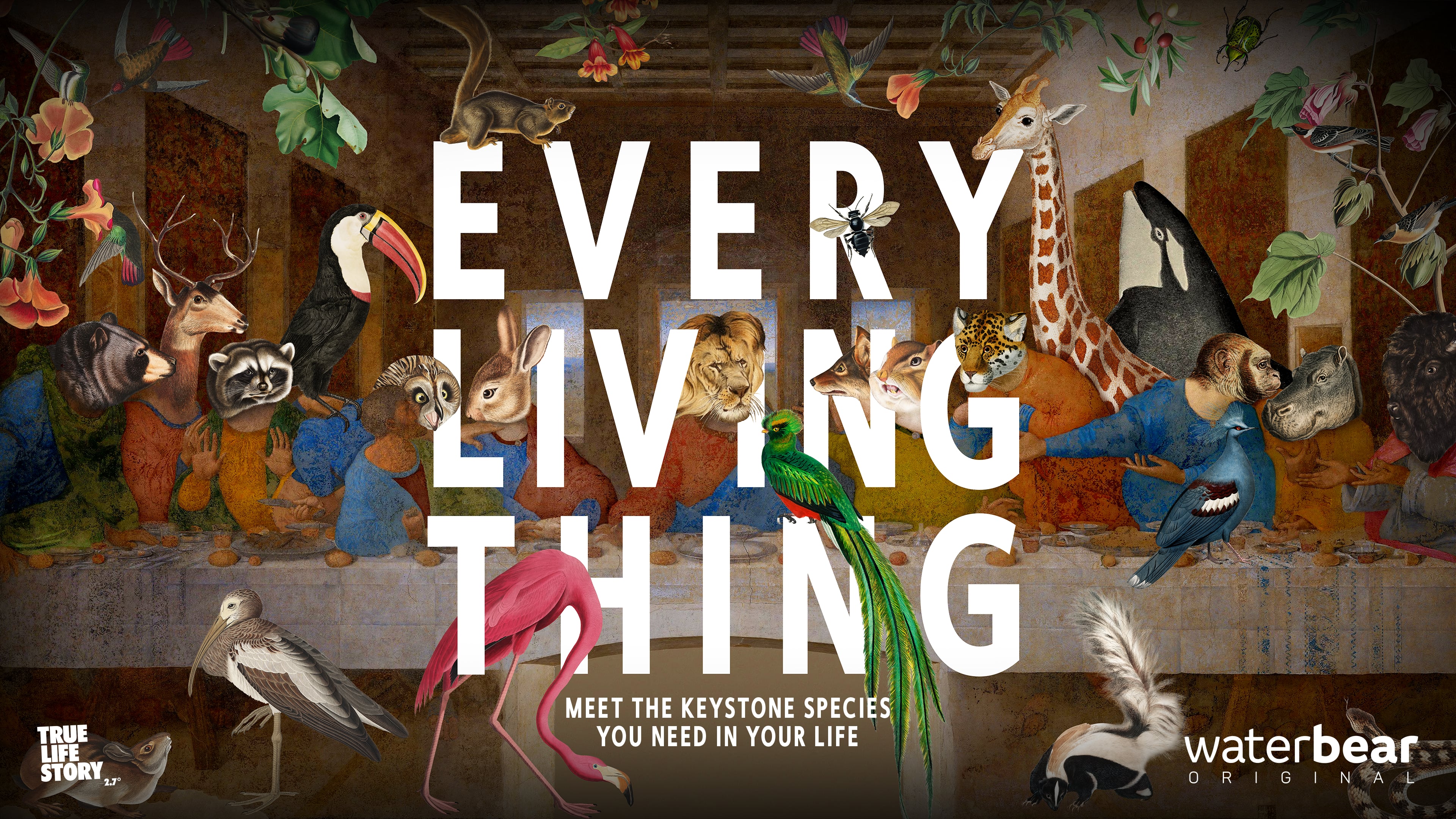 OU HOUSE | Every Living Thing