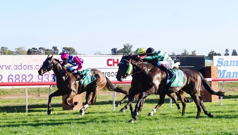 Dubbo Turf Club