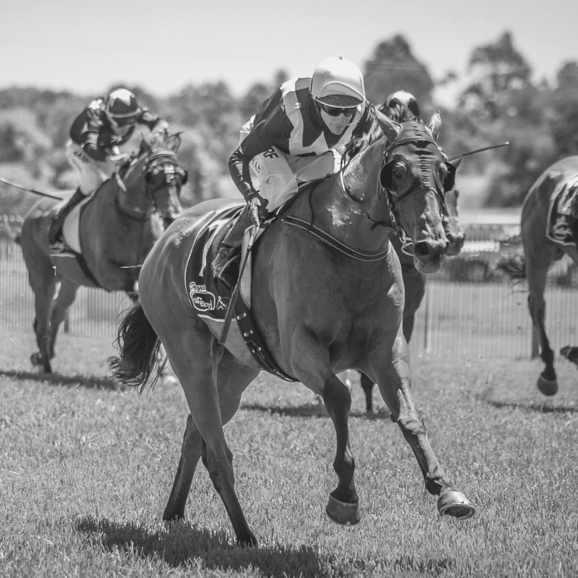 Platinum Membership | Shop | Dubbo Turf Club