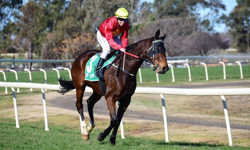 Dubbo Turf Club | Western NSW Class Leading Racing & Training Facility
