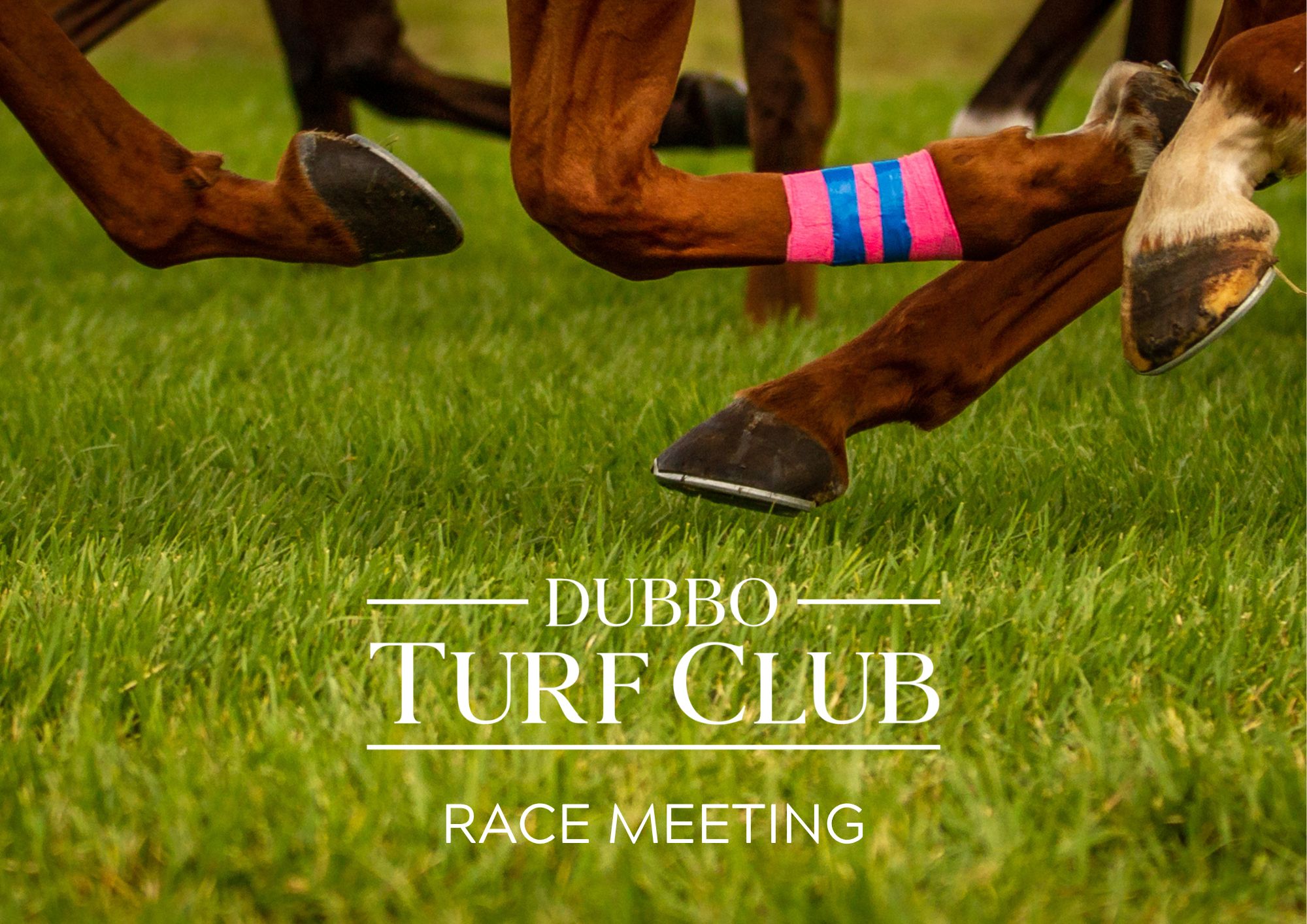 Dubbo Turf Club launches inaugural Mercedes-Benz Dubbo Queen of the ...