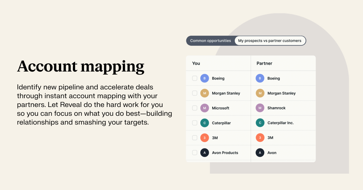 Automated Account Mapping Software | Reveal