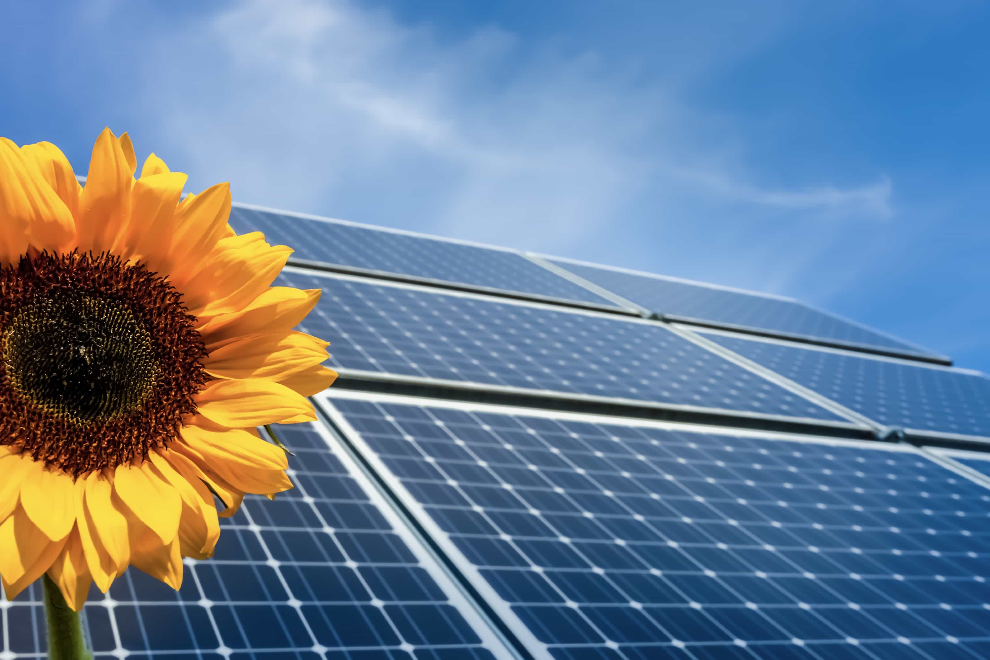 Highland Solar Website