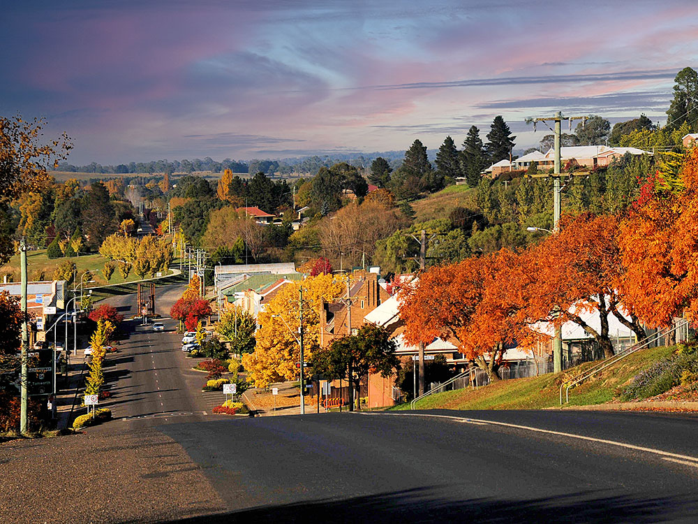 Walcha Telecottage - Walcha Community Technology Services | Walcha NSW