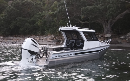 Blackdog Cat NZ Boats - The ultimate aluminium pontoon boat