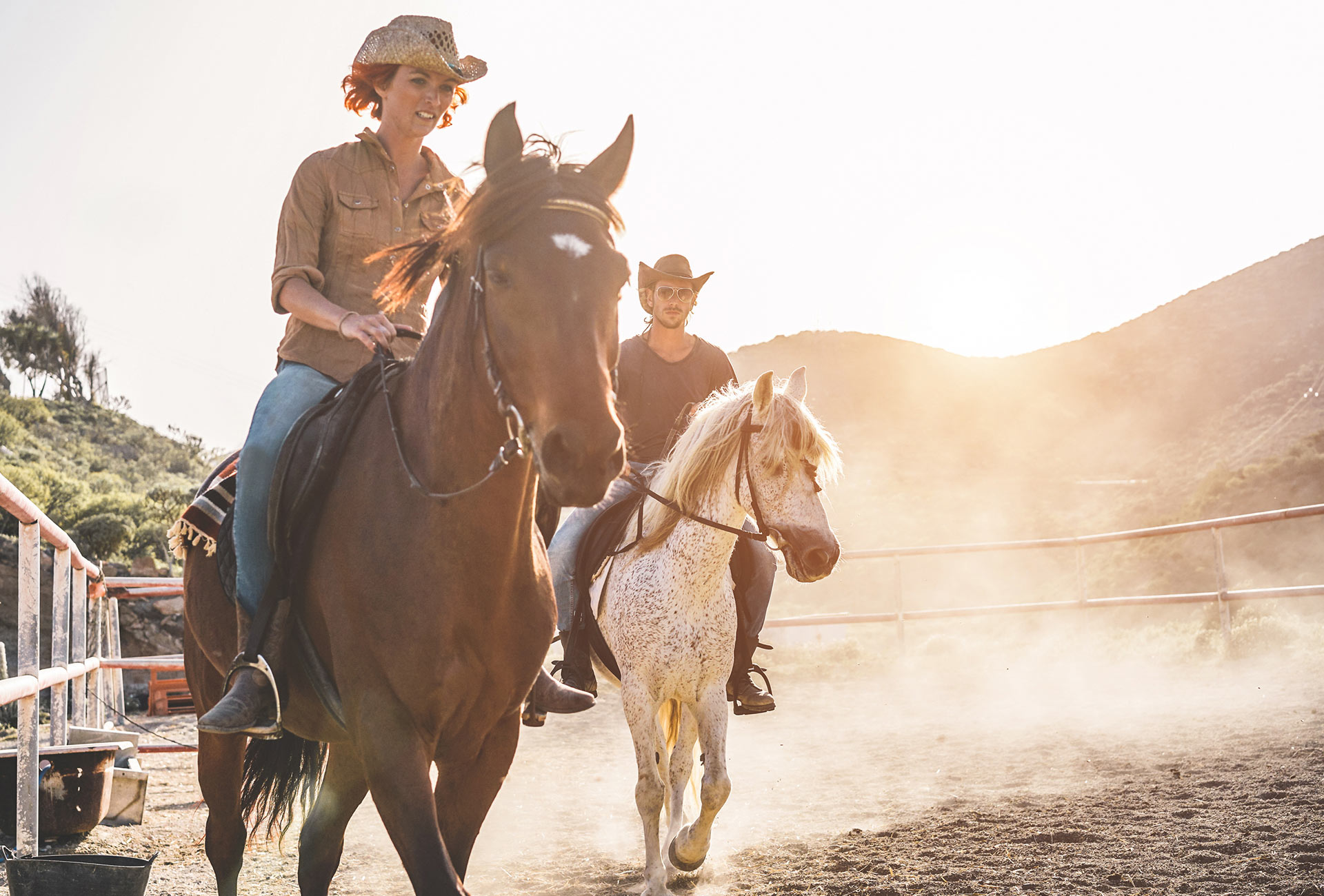Stubbs England Australia | Stable Equipment and Tack Room Gear