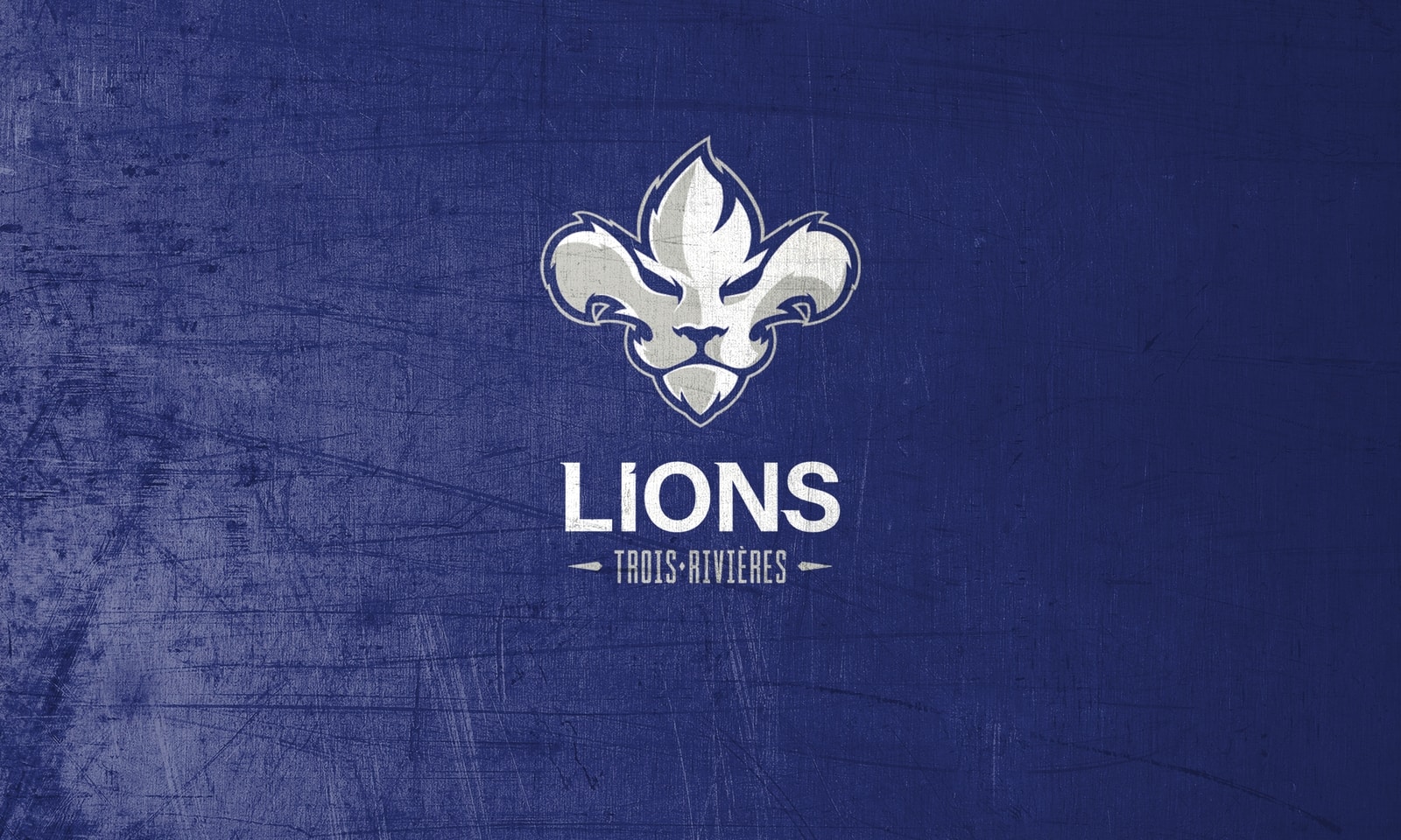 Lions de Trois-Rivières - Équipe de hockey de la ECHL