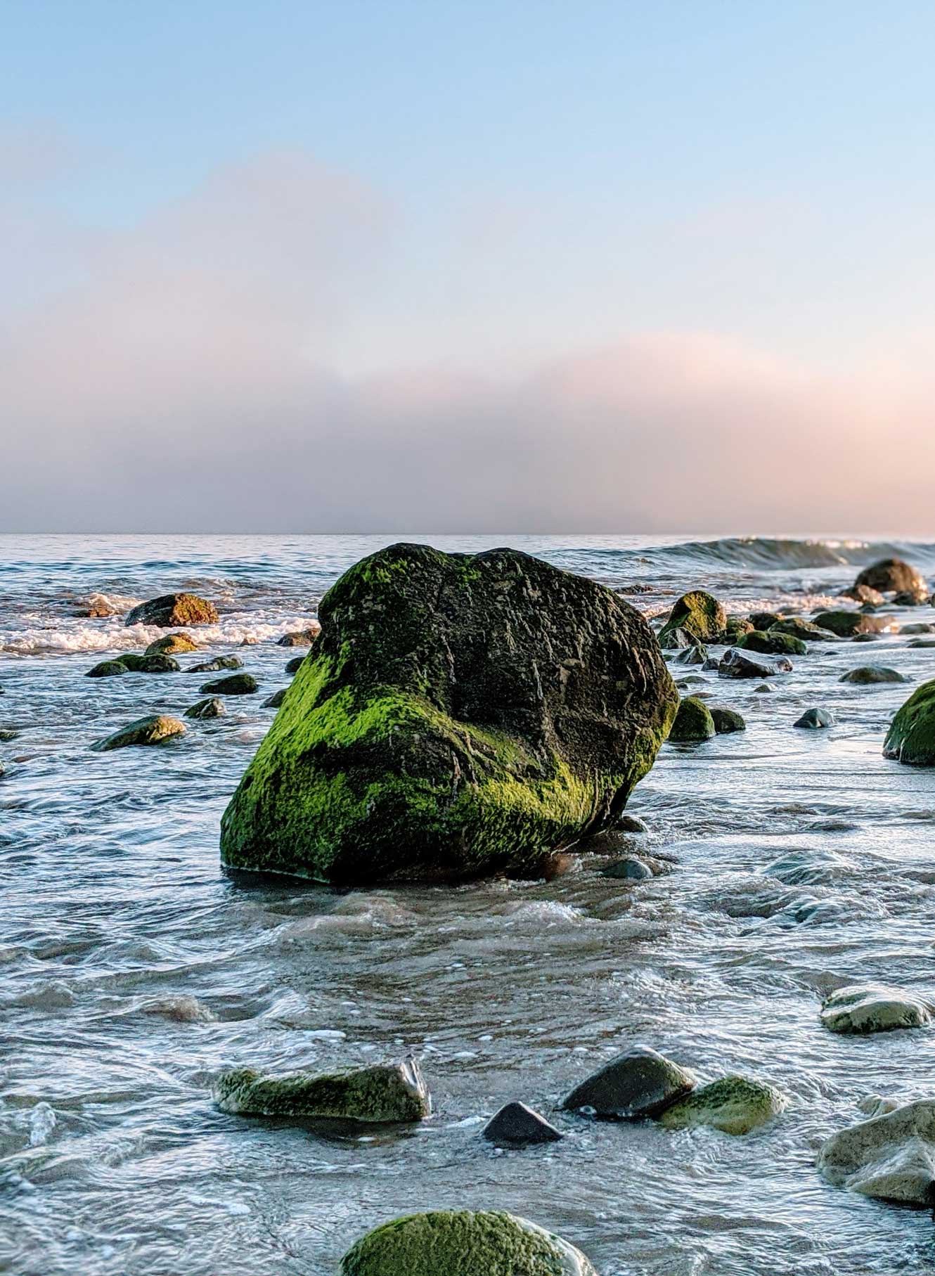 About | Telyon | Renewable Energy Experts