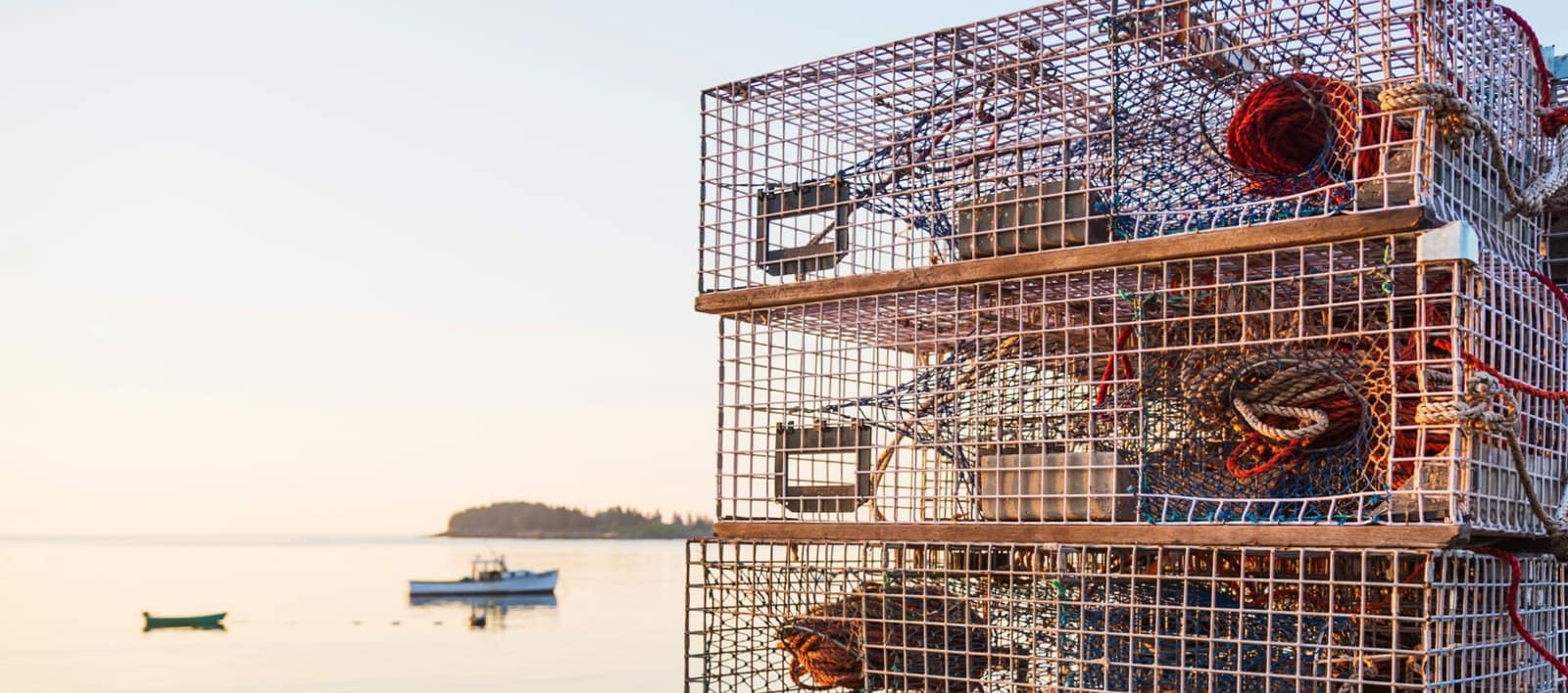 Our Team | The Lobster Trap