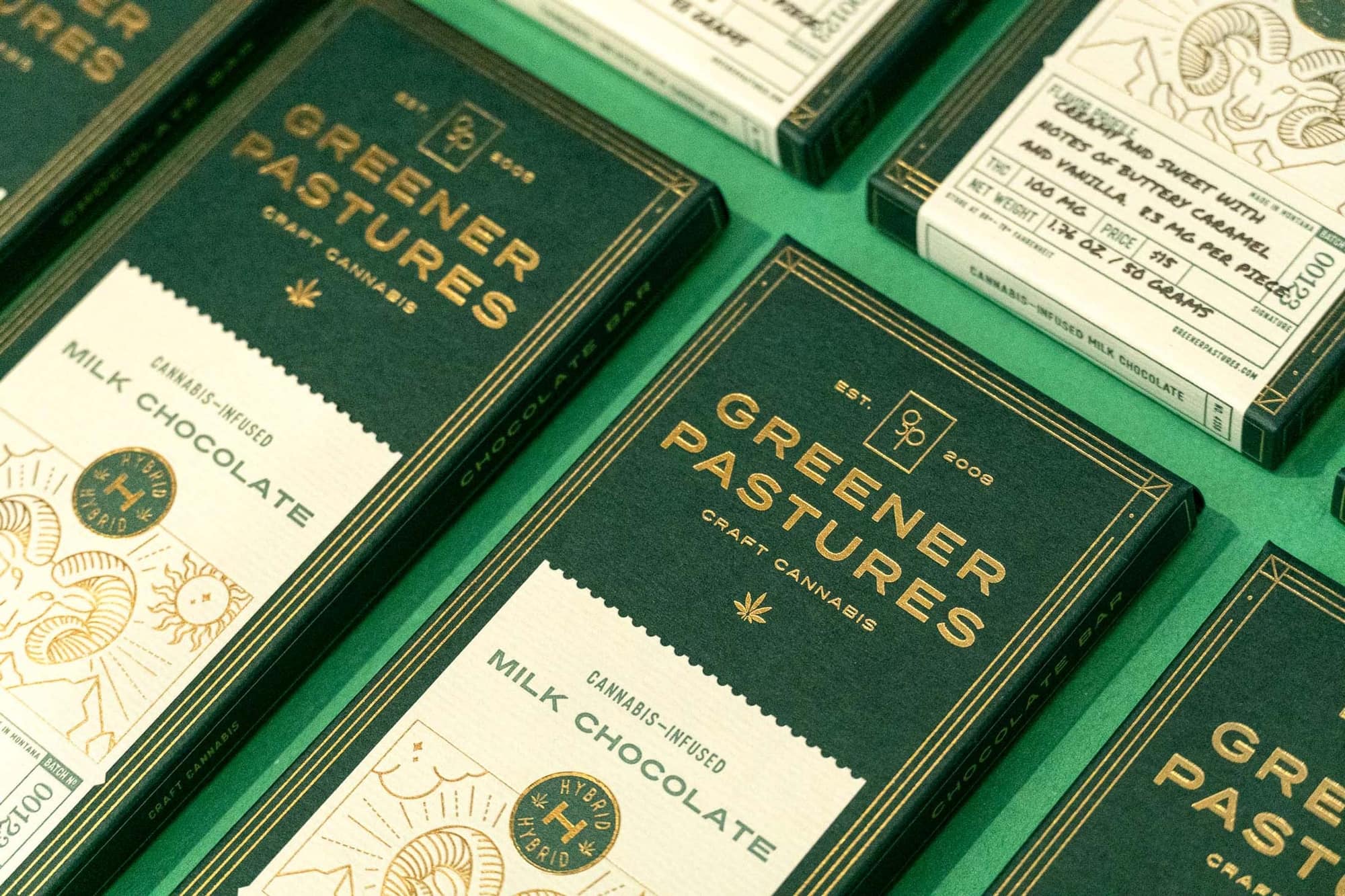 Marketing and Branding Agency | Hardy Brands