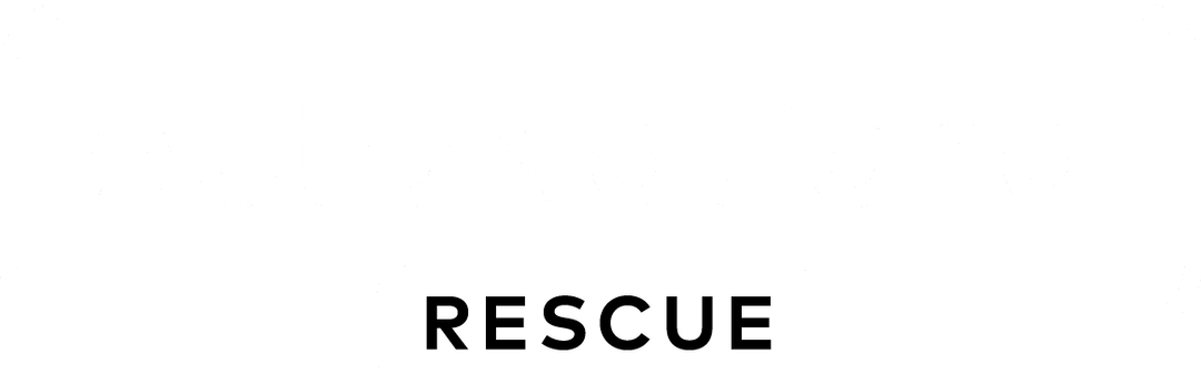 Our Businesses | Lucida Group | Helping insurance businesses flourish