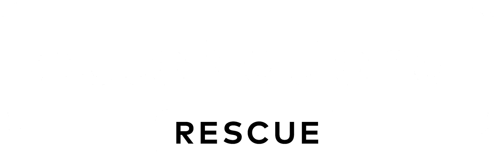 Our Story | Lucida Group | Helping insurance businesses flourish